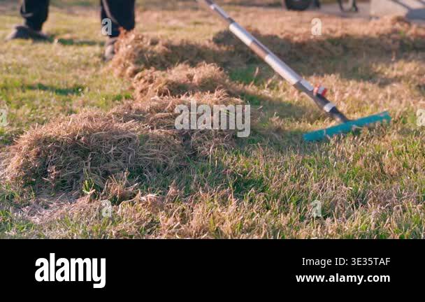 Person raking lawn after winter in slow motion. Lawn grass renewal in ...