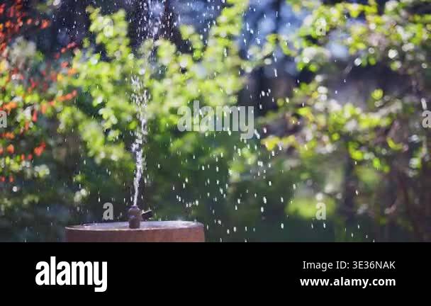 Water droplets splashing from a small, rustic fountain with a lush ...