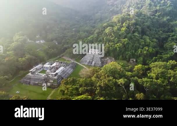 Aerial drone view of Palenque Mayan ruins featuring ancient pyramids ...