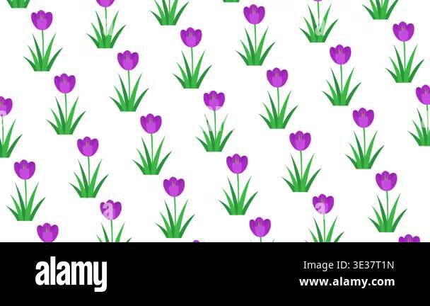 Purple Tulip Flower Garden Pattern Animation on White Stock Video ...