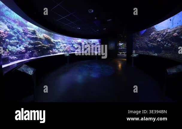 Indoor aquarium gallery in Spain shows curved panoramic reef tanks ...