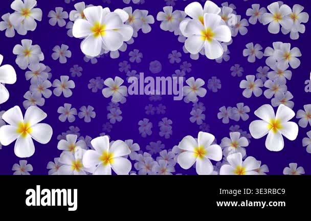 beautiful flowers wallpaper background loop animated Stock Video ...