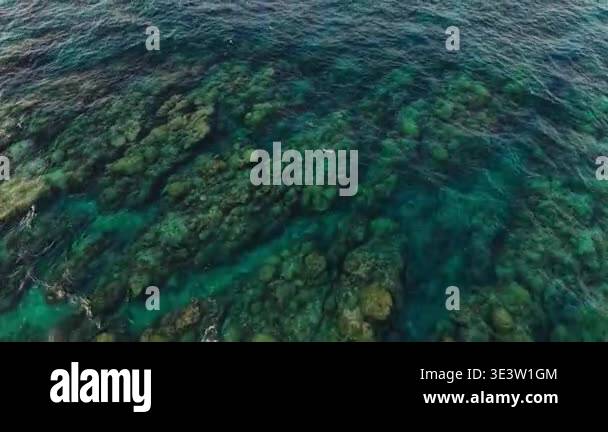 Scenic aerial drone video of the island of Rodrigues coast. Fishermen ...