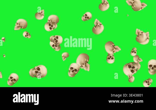 Moving human skulls motion graphics with green screen background Stock ...