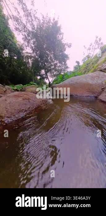 Vertical video. Shallow Stream Flowing Between Large Smooth Rocks With ...