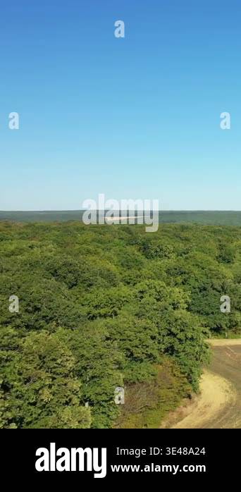 Wide aerial shot of dense green forest under a clear blue sky near ...