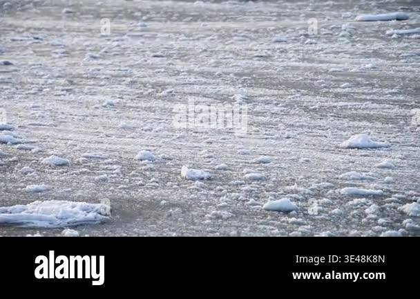 Rough, frozen sea surface with scattered slush ice chunks and frost ...