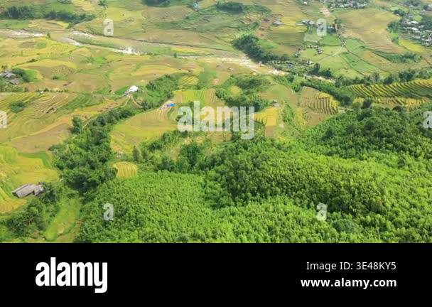 Scenic aerial view of lush green rice terraces and mountains in Sapa ...