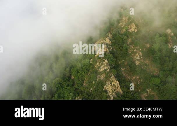 Aerial view of rocky mountain slopes covered in lush green forest and ...