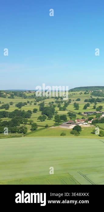 Aerial view of lush green fields and scattered trees under a clear blue ...