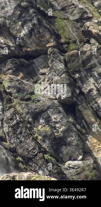 Close-up view of rugged rock formations with patches of greenery on a ...