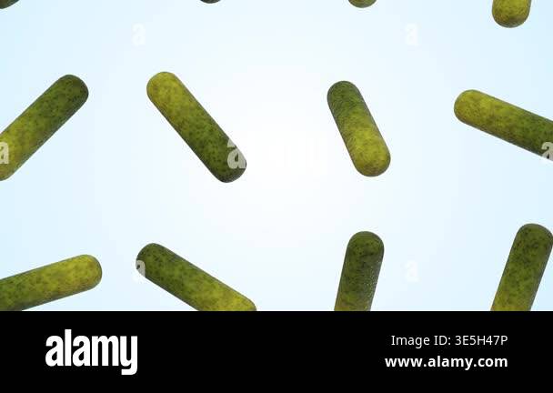 Pickles Falling on a Light Blue Background. Green Pickles 3D Animation ...