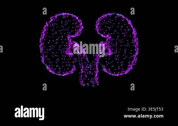 Abstract Geometric Purple Kidneys Anatomy on Dark Background, Animated ...