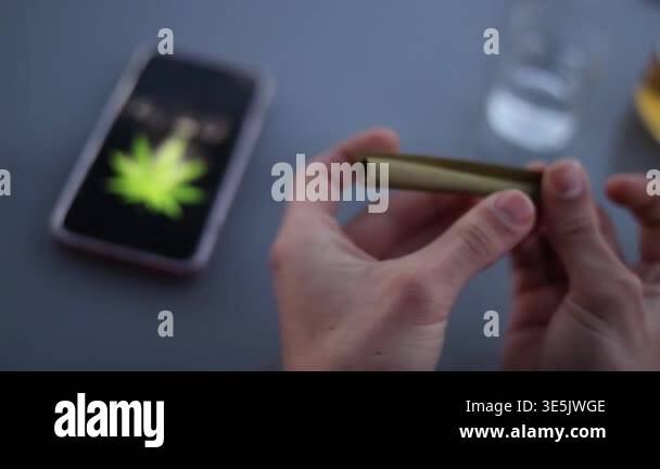 Close up of hands rolling a marijuana blunt with a cannabis leaf symbol ...