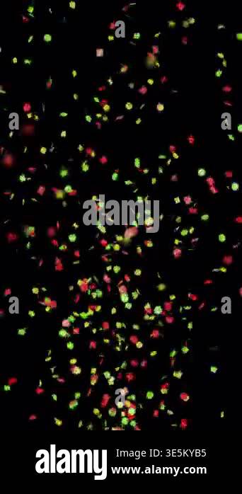 Confetti Explosion. Animated colorful confetti on a transparent ...
