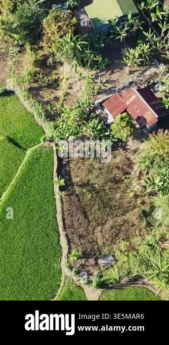 Drone shot of a rural village with tin-roof houses and lush greenery ...