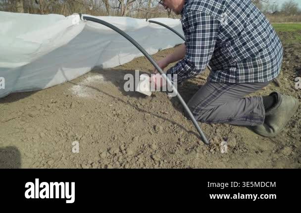 An agronomist in a checkered shirt kneels near the soil under a ...