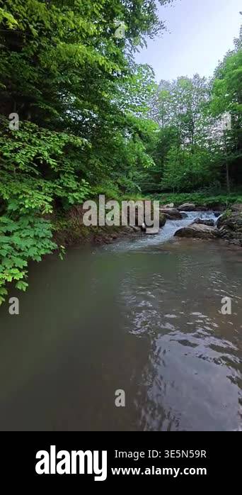 Split underwater view with sky and mountain river. Water flows over ...