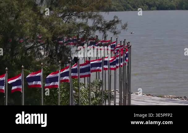 Many thai national flags flying on tall flagpoles along a riverbank ...