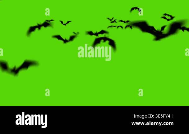 Flock of Bats Flying in Green Screen Chroma Key Background Stock Video ...