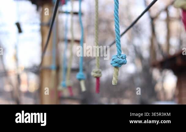 A row of vertically hanging strong ropes with securely tied knots at ...