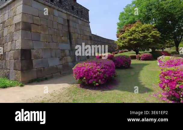 SUWON, SOUTH KOREA - APRIL 23, 2024: A beautiful spring landscape of ...