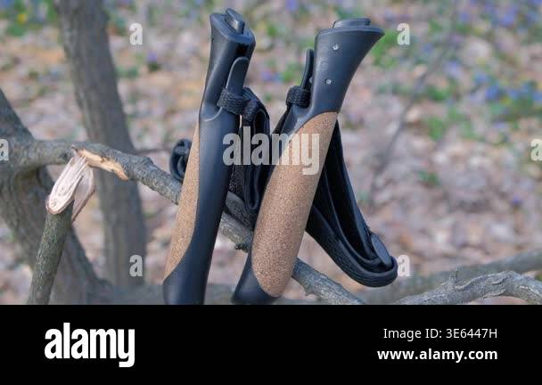 a pair of trekking poles for nordic walking leaning against a large ...
