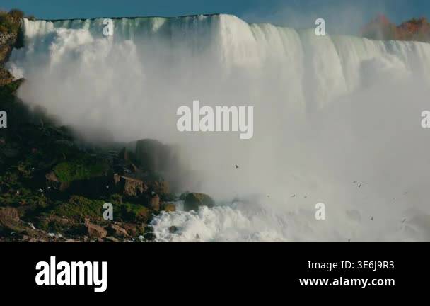 Niagara Falls powerful waterfall with dense mist, flying birds and ...