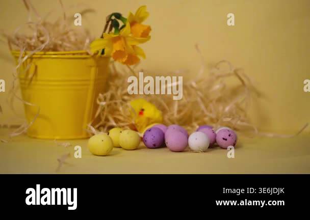 Easter chocolate eggs and daffodil flowers yellow background medium ...