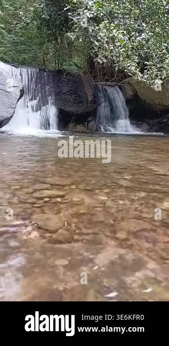 Vertical portrait view of a pristine forest waterfall. Crystal clear ...