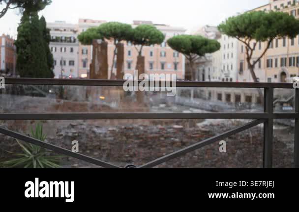 Blurred rome street scene with shallow bokeh, distant pine trees and ...
