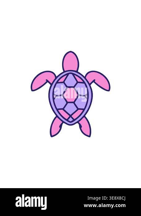 flashy sales animation of brazilian turtle shown from above drawing ...