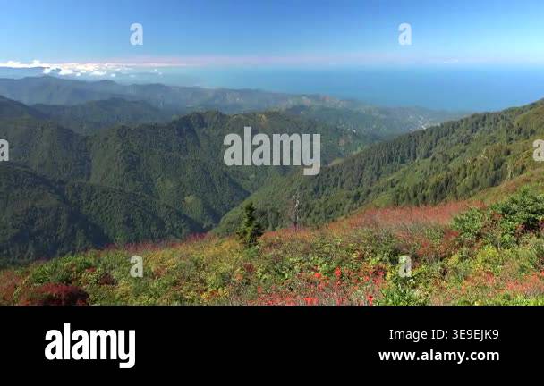 Panoramic forested mountain geography by the Adriatic Sea near Serbian ...