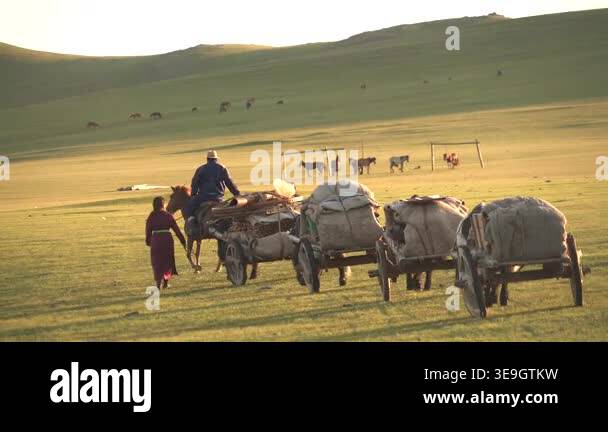 Mongolian nomads migrate with yak drawn carts across wide grassland in ...
