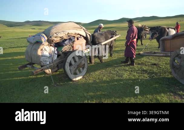 Mongolian families prepare carts and household goods for migration on ...