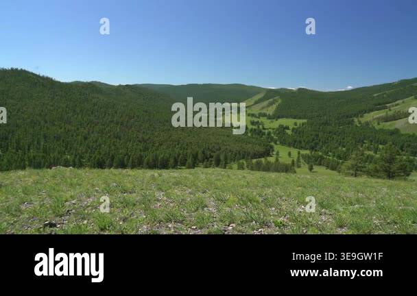 Untouched forest and meadow panorama opens across a quiet unspoiled ...