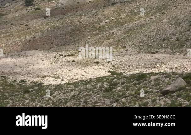 Treeless desert landscape spreads across barren plains and dry hills ...