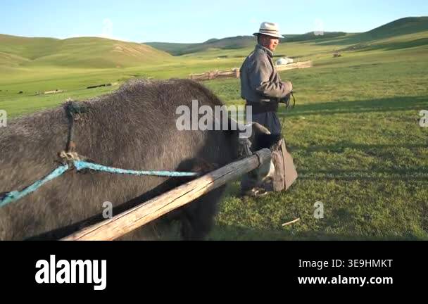 Mongolian families prepare carts and household goods for migration on ...
