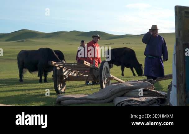 Mongolian families prepare carts and household goods for migration on ...