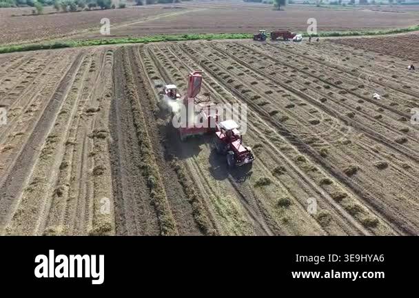 Aerial tractor baling dry hay in golden harvested field. Red farm ...