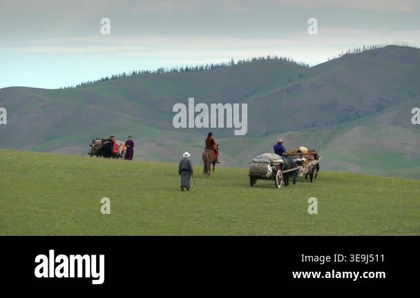 Mongolian nomads migrate with yak drawn carts across wide grassland in ...