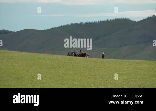 Mongolian nomads migrate with yak drawn carts across wide grassland in ...