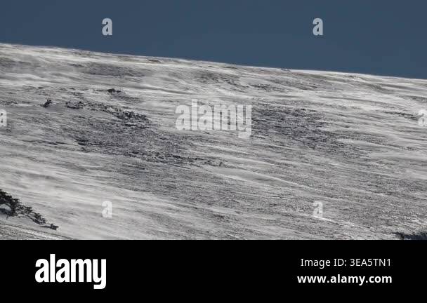 Blizzard erosion patterns on snow surface shaped by strong winter wind ...
