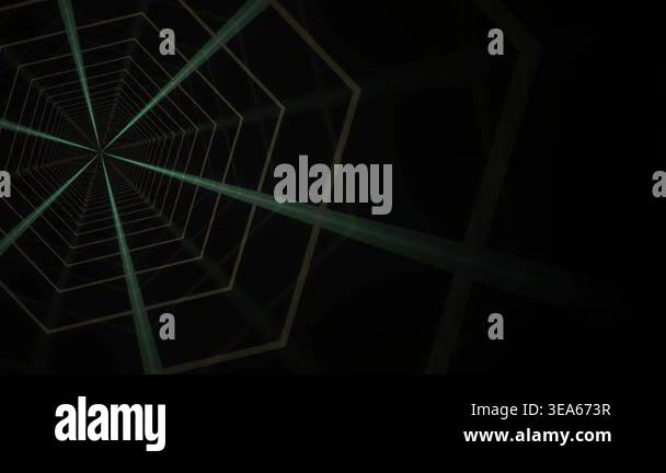 Dark closeup footage reveals intricate spiderweb patterns and geometric ...