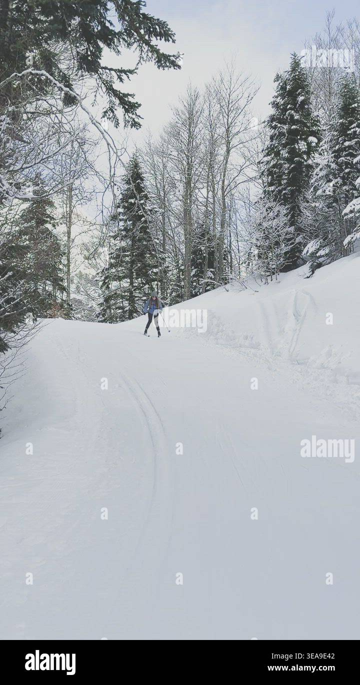 Fun Fall While Skiing on a Snowy Trail Stock Video Footage - Alamy