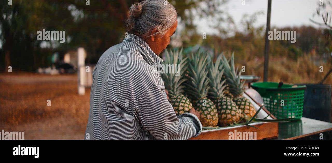 Elderly female street vendor Stock Videos & Footage - HD and 4K Video ...