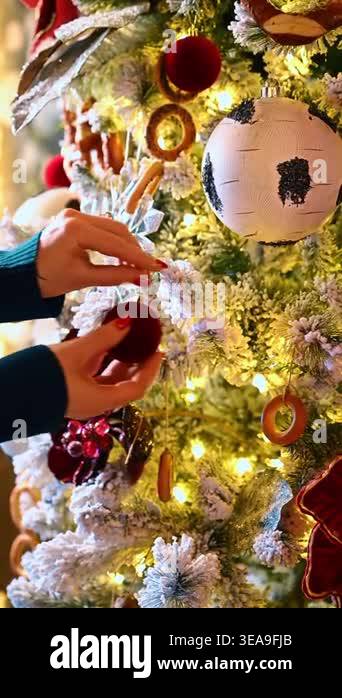 Woman hands hanging red velvet ball ornament on Christmas tree. Female ...