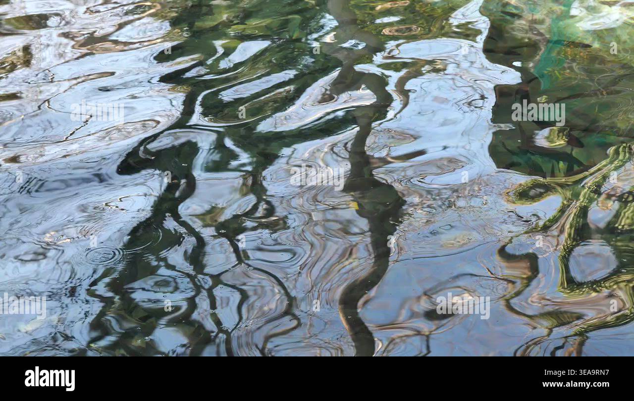 the reflection of trees on the pond moving Stock Video Footage - Alamy