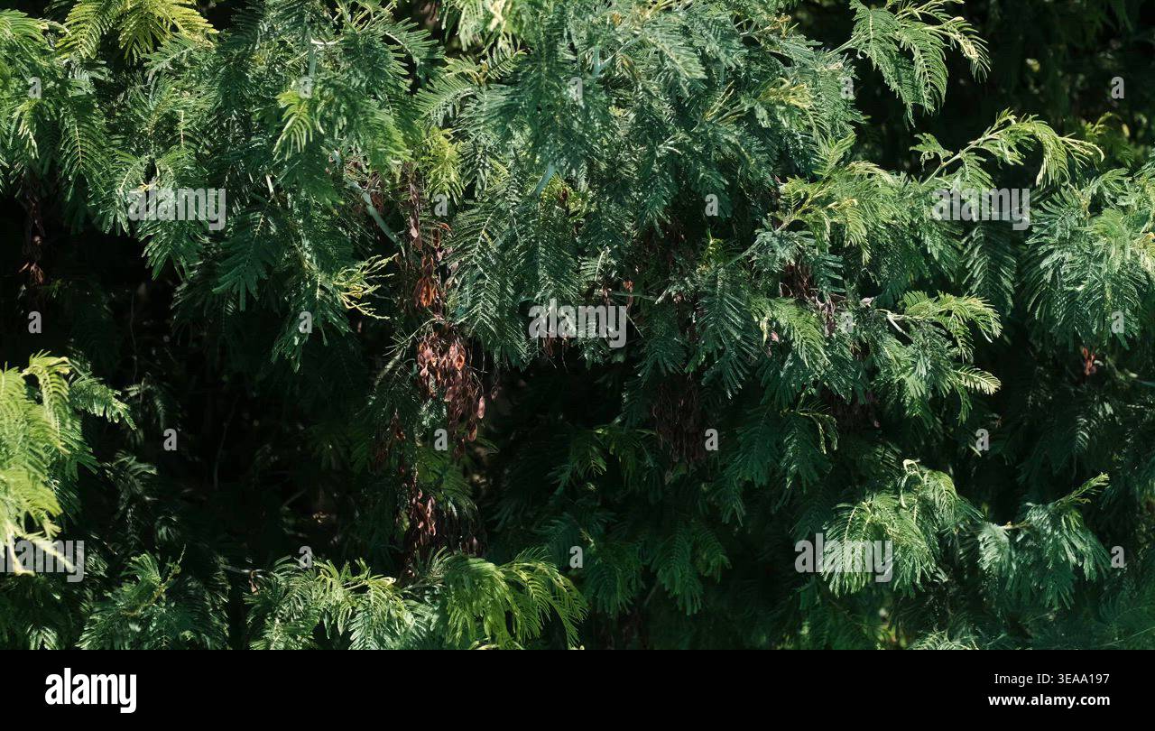 Water reflection Stock Video Footage - Alamy