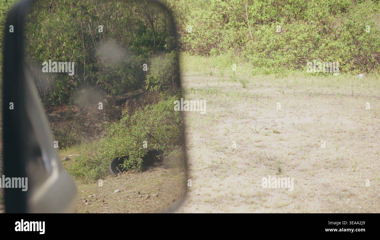 Reflection of a woman in a car window Stock Video Footage - Alamy